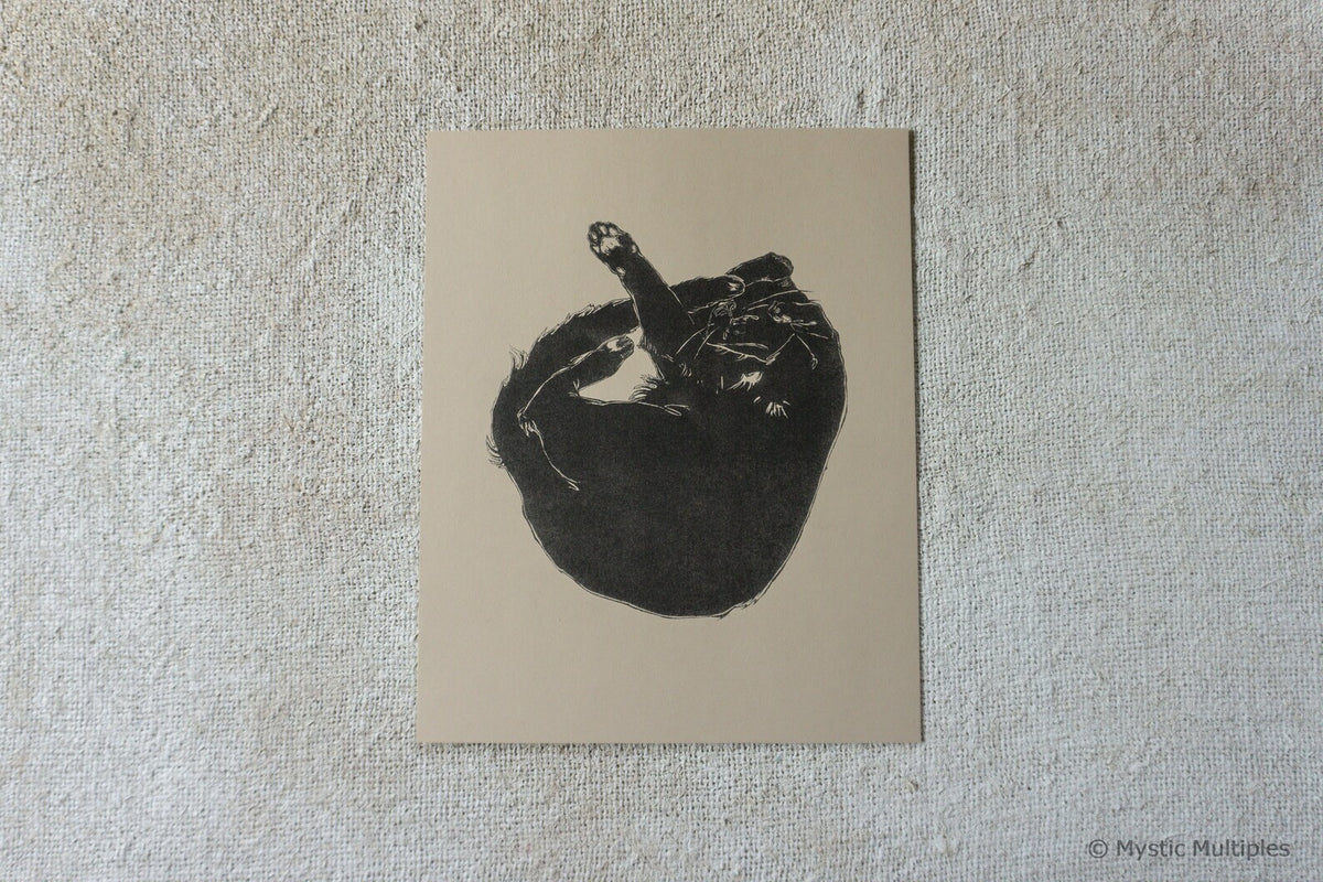 Baby Cat | Sarah Welch (TX) – WE ARE 1976