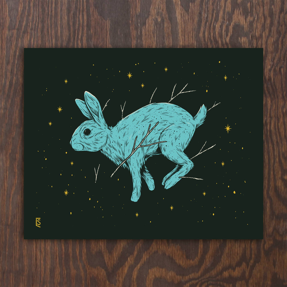 Dream Rabbit | Logan Schmitt (WV) – WE ARE 1976